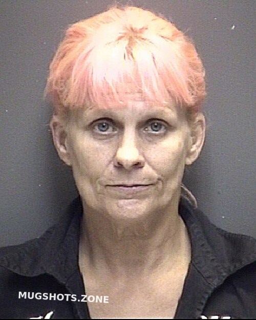 LINSICOMBE LISA KAY 06/27/2023 - Galveston County Mugshots Zone