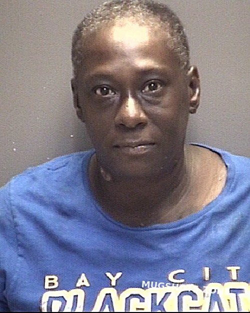 WILLIAMS WANDA ANNETTE 07/27/2023 - Galveston County Mugshots Zone