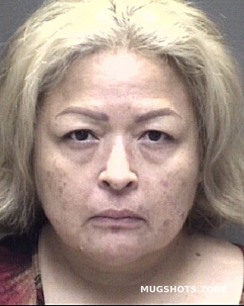 MEZA MARIA DEL SOCORRO 09/08/2023 - Galveston County Mugshots Zone