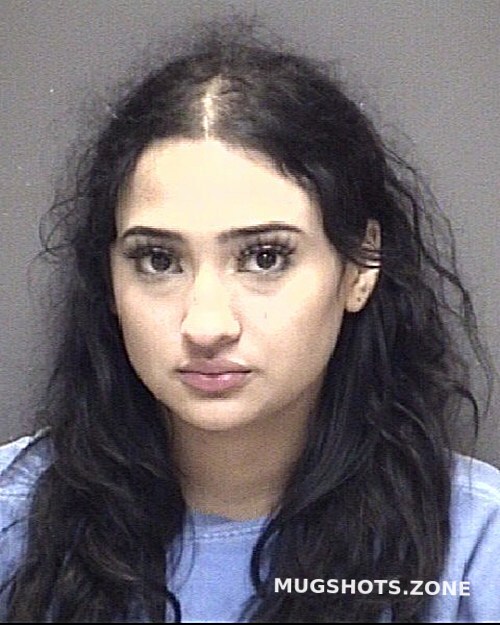 CASTILLO HENNAH 11/05/2023 - Galveston County Mugshots Zone