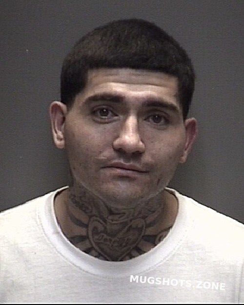 JOLLY DAVIEN NATHANIEL 11/16/2023 - Galveston County Mugshots Zone