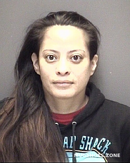 VILLARREAL LYDIA . 11/17/2023 - Galveston County Mugshots Zone
