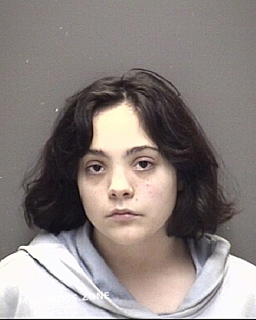 DUREE MADISON ANN 12/01/2023 - Galveston County Mugshots Zone
