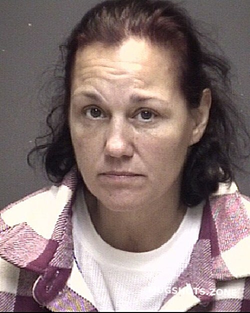 DRIGGS TRACEY RENEE 12/16/2023 - Galveston County Mugshots Zone