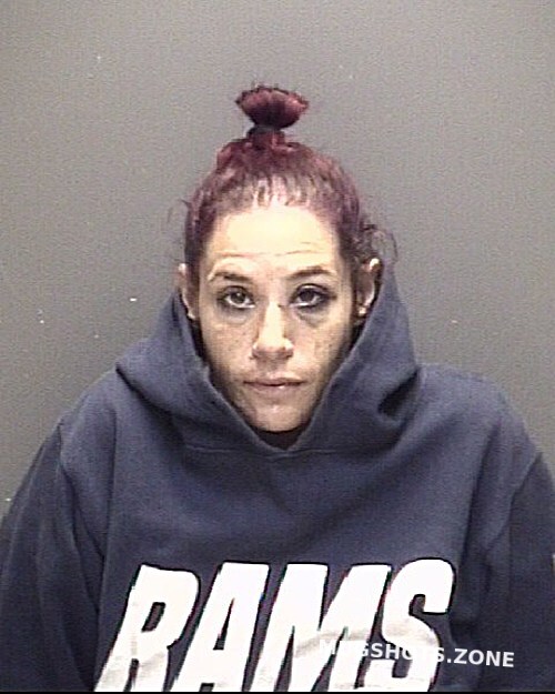 KITTLE KELLY ANN 12/19/2023 - Galveston County Mugshots Zone