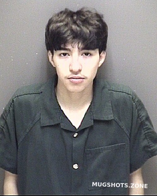 Gonzales Matthew 01042024 Galveston County Mugshots Zone