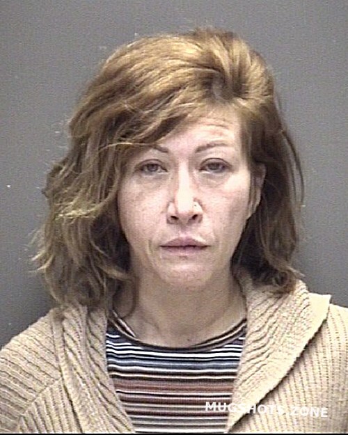 SCHOU ANE KIRSTINE CATHEE 01/12/2024 - Galveston County Mugshots Zone