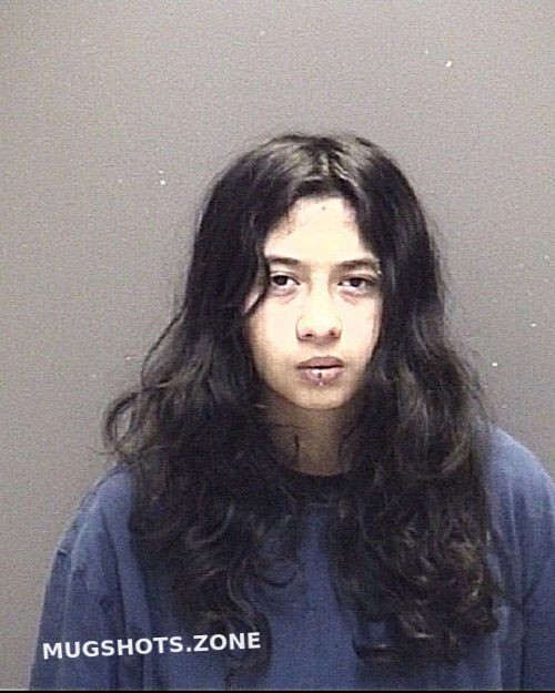 MORALES EDITH . 01/18/2024 - Galveston County Mugshots Zone
