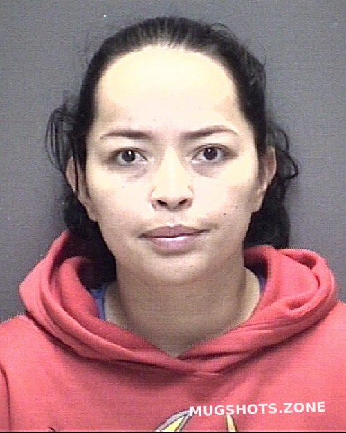 SALCEDO MARIA TERESA 02/02/2024 - Galveston County Mugshots Zone