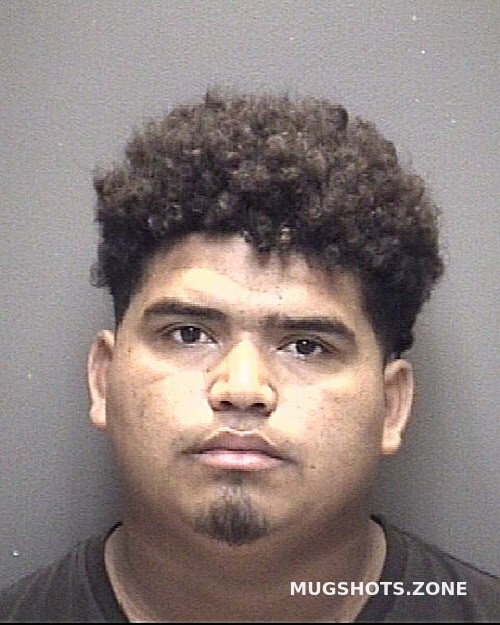 Hernandez Mario 02 22 2024 Galveston County Mugshots Zone