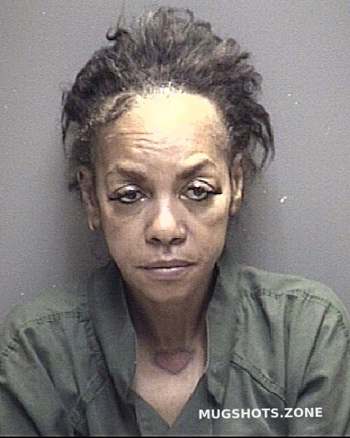ALDRIDGE WANDA LYNN 03/02/2024 - Galveston County Mugshots Zone