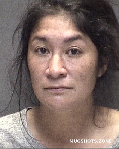 NUNEZ ALEXIS JAN 03/12/2024 - Galveston County Mugshots Zone