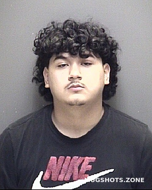 ROSA JORDAN ALEXANDER 03/26/2024 - Galveston County Mugshots Zone