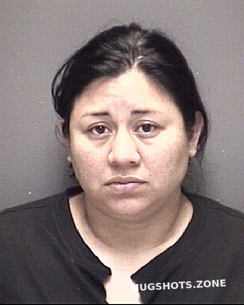 PALMA TURCIOS ALISON PAMELA 04/03/2024 - Galveston County Mugshots Zone