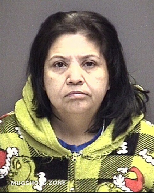 HERNANDEZ MARY ALICE 04/05/2024 - Galveston County Mugshots Zone