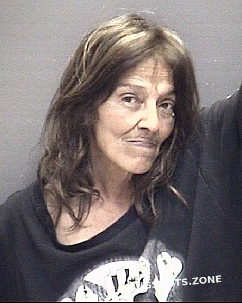 PARRA VICKY ELAINE 04/11/2024 - Galveston County Mugshots Zone