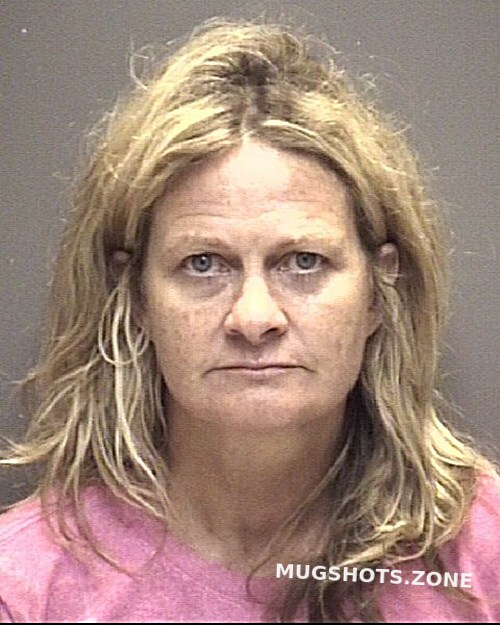 LEWIS IRWIN CARRIE LYNN 05/03/2024 - Galveston County Mugshots Zone