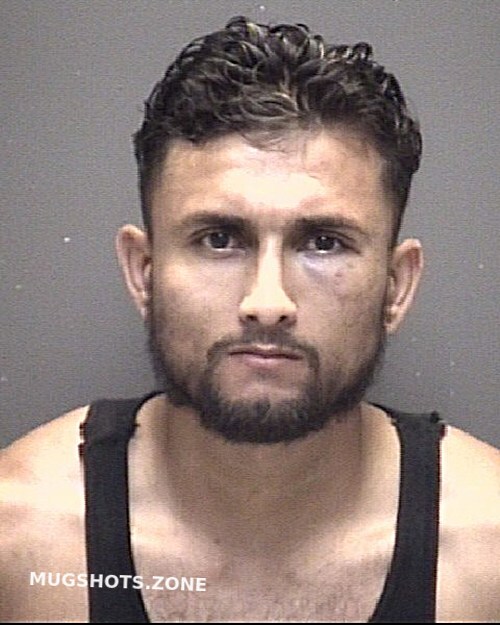 RODAS JOSE LOUIS 06/08/2024 - Galveston County Mugshots Zone