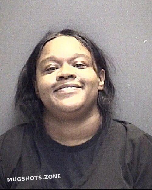 JOHNSON LAURA JANELL 06/12/2024 - Galveston County Mugshots Zone