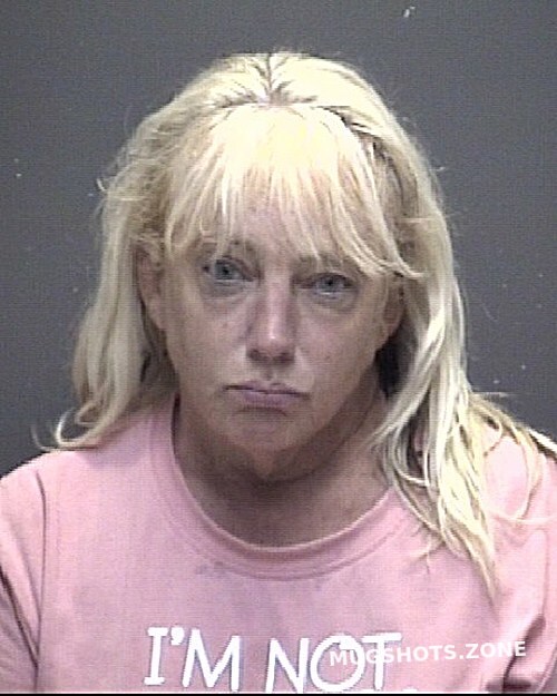 SILLS SHARON RACHELLE 07/11/2024 - Galveston County Mugshots Zone