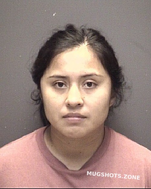 HERNANDEZ BRENDA ELIZABETH 07/22/2024 - Galveston County Mugshots Zone