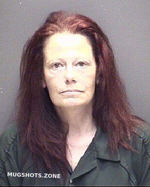 REDD VERONICA ANN 07/27/2024 - Galveston County Mugshots Zone