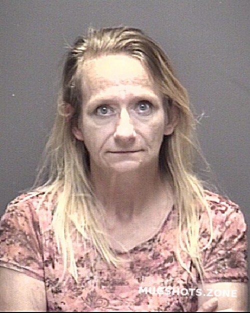 JOHNSTON VICKI LYNN 07/31/2024 - Galveston County Mugshots Zone