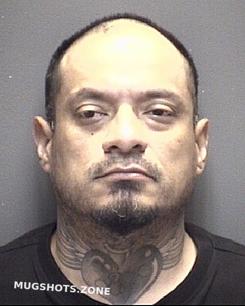 GOMEZ BOGAR . 08/10/2024 - Galveston County Mugshots Zone