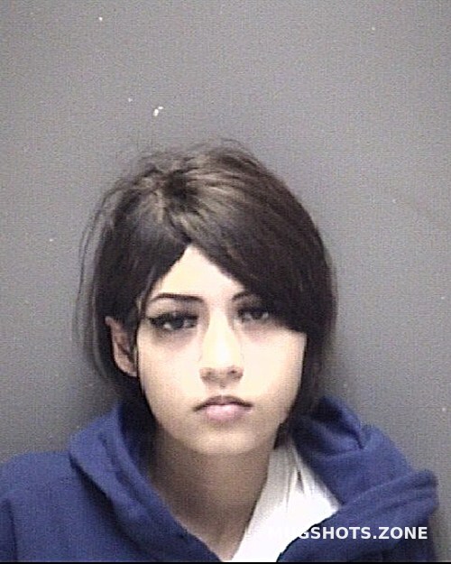 PACKARD ALIYA RENEE 08/16/2024 - Galveston County Mugshots Zone