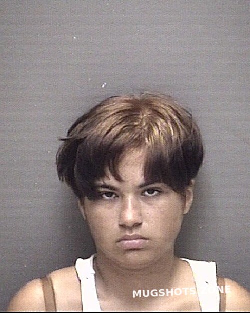 ALVAREZ LYDIA MARIA 08/16/2024 - Galveston County Mugshots Zone