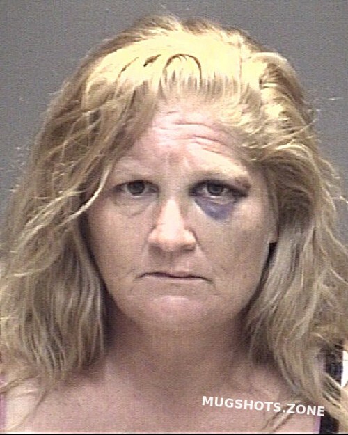 MILLER TERRI LYNN 08/29/2024 - Galveston County Mugshots Zone