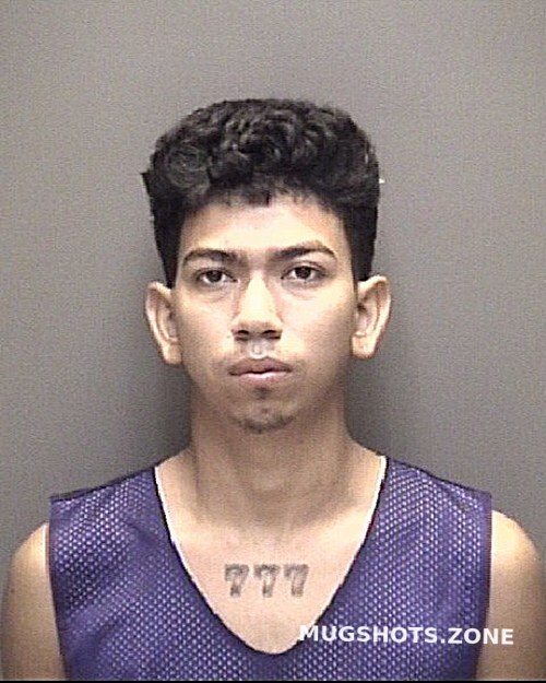 PERLA CRUZ DANIEL . 09/07/2024 - Galveston County Mugshots Zone