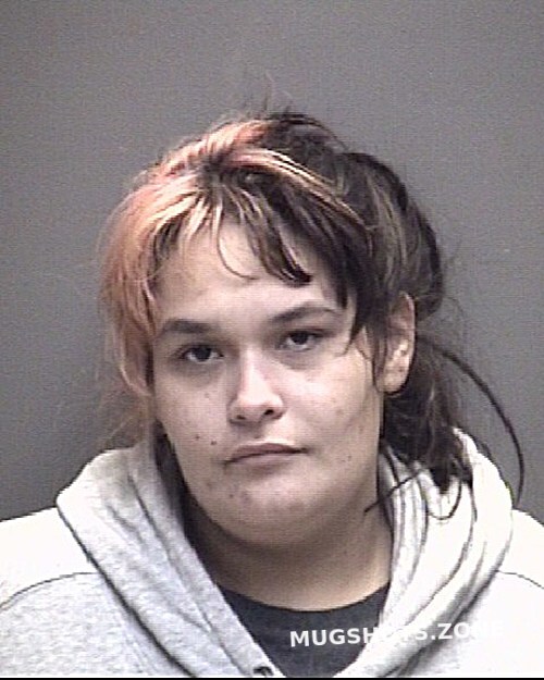 PALMER DOROTHY RENEE RAE 10/08/2024 - Galveston County Mugshots Zone