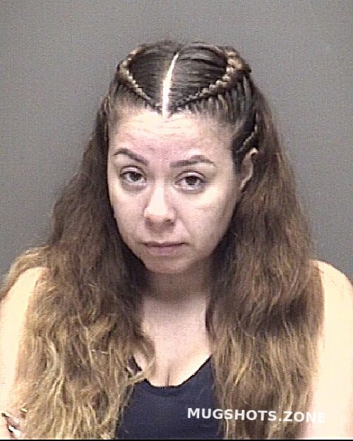 SAUCIER ANGIE ELIZABETH 11/25/2024 - Galveston County Mugshots Zone