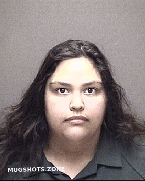 BALDERAS ARIEL . 12/22/2024 - Galveston County Mugshots Zone