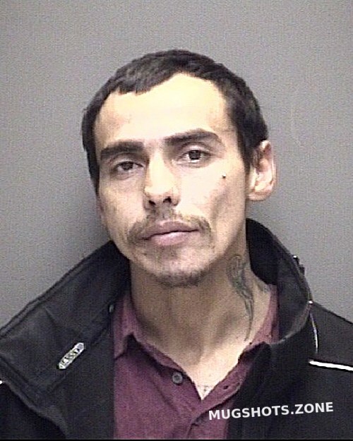 CASTELLANOS MARCO ALEX 01/29/2025 - Galveston County Mugshots Zone