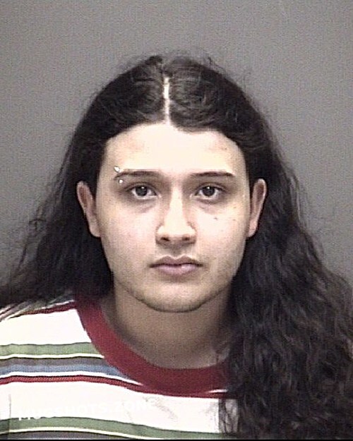 JOHNSON MATTHEW ALEXANDER 02/02/2025 - Galveston County Mugshots Zone