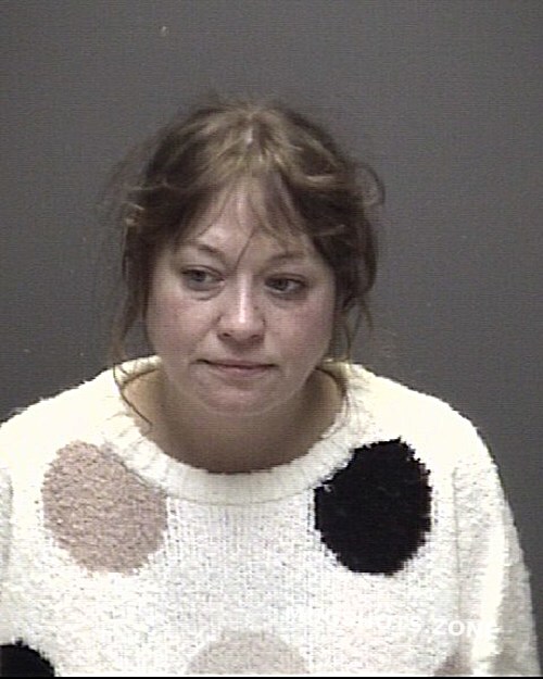 HAYNES JESSICA NICOLE 02/17/2025 - Galveston County Mugshots Zone