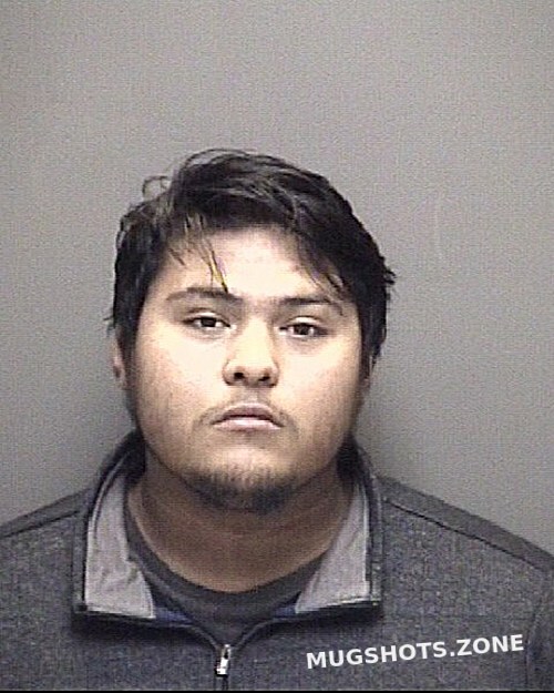 RUVACALBA TERRY RAY 02/24/2025 - Galveston County Mugshots Zone