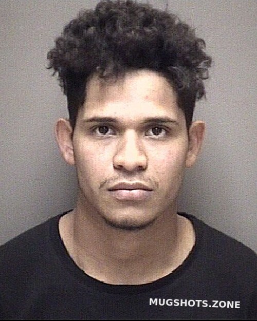 ESCOBAR RAMIREZ JOSE DANIEL 03/04/2025 - Galveston County Mugshots Zone