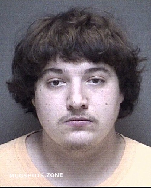 ASHLINE COLBY MICHAEL 03/13/2025 - Galveston County Mugshots Zone