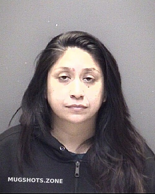 HUNTER RUBY SOTO 03/17/2025 - Galveston County Mugshots Zone
