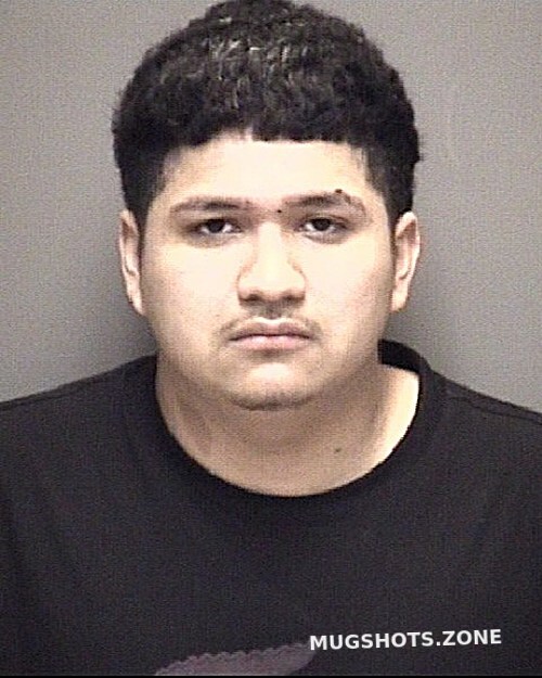 DOMINGUEZ ALAN JESUS 03/17/2025 - Galveston County Mugshots Zone