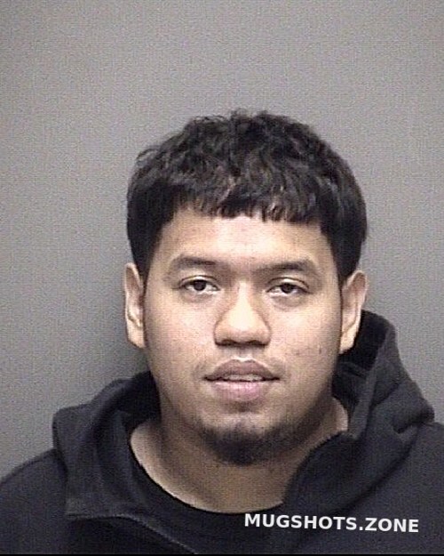 TORRES DANIEL DELFINO 03/18/2025 - Galveston County Mugshots Zone