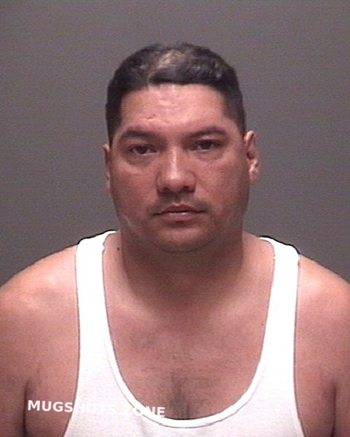 RUIZ ALFONSO . 03/28/2025 - Galveston County Mugshots Zone