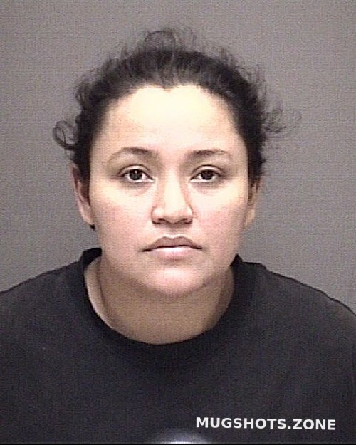 VELASQUEZ JOYA NORA SAMAR 04/03/2025 - Galveston County Mugshots Zone