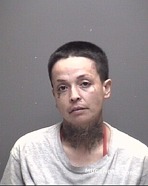 SAUCEDA THERESA MARIE 04/23/2025 - Galveston County Mugshots Zone