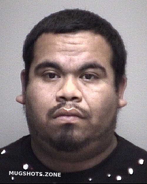 ARGUETA JONATHAN JOSE 04/24/2025 - Galveston County Mugshots Zone