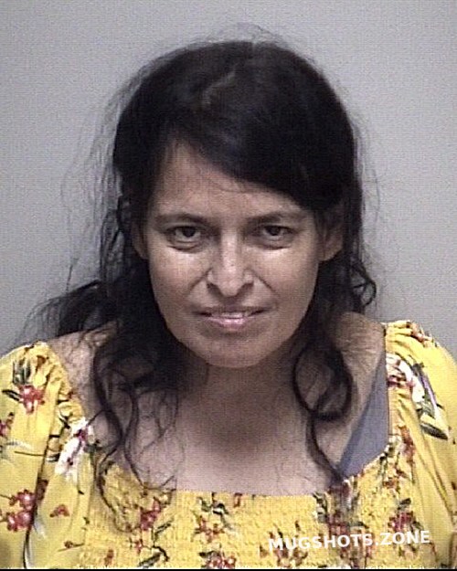 RIOS MARIA ELENA 04/30/2025 - Galveston County Mugshots Zone