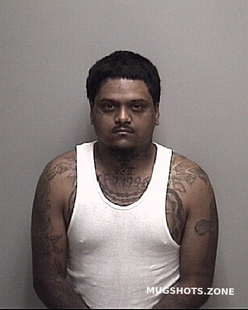 CRUZ NECO VENTRA 05/03/2025 - Galveston County Mugshots Zone
